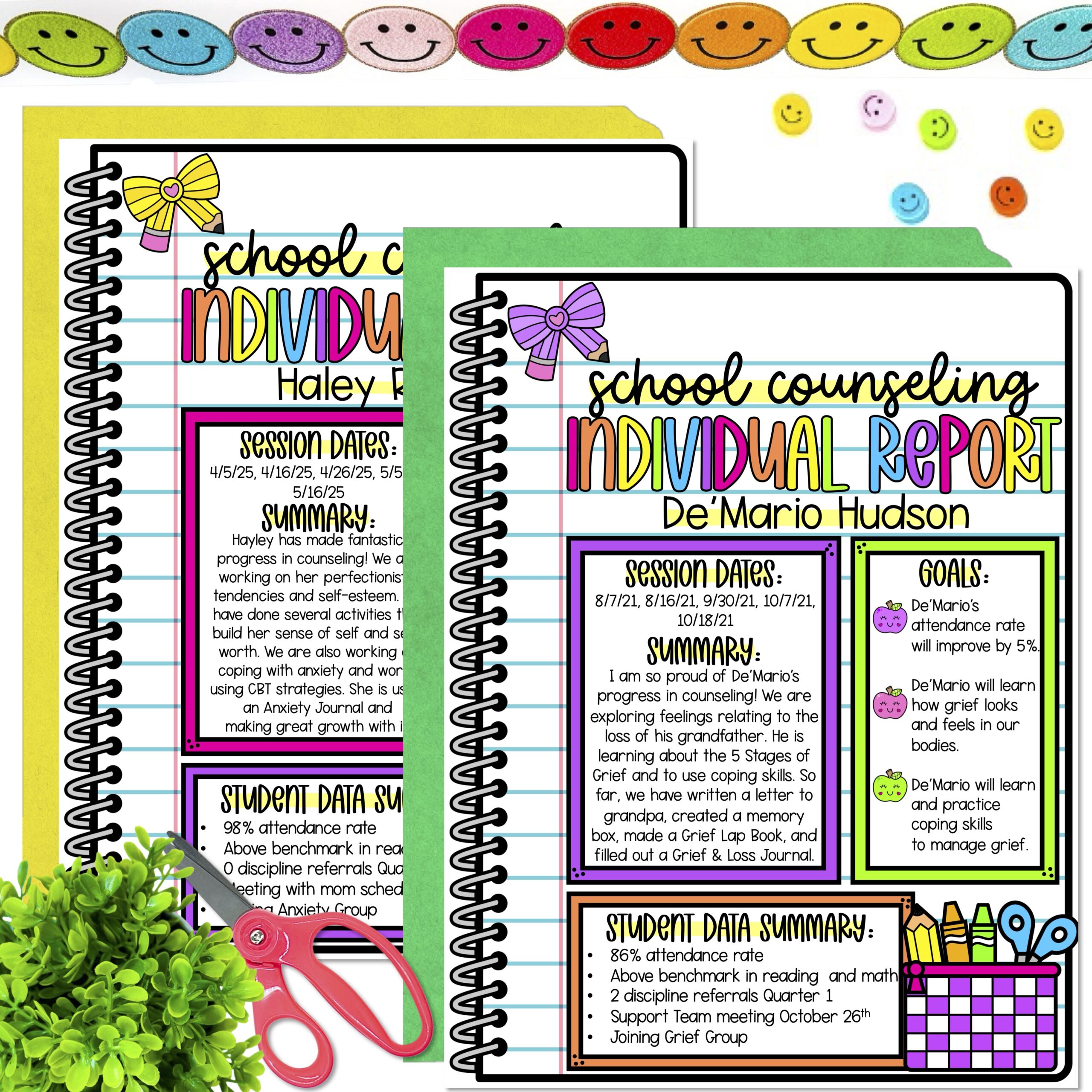 Individual Counseling Summary Data Report, Editable - Music City Counselor